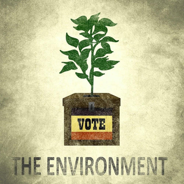 Ballot Box Plant Pot by Jordan Brittain Creative Action Network