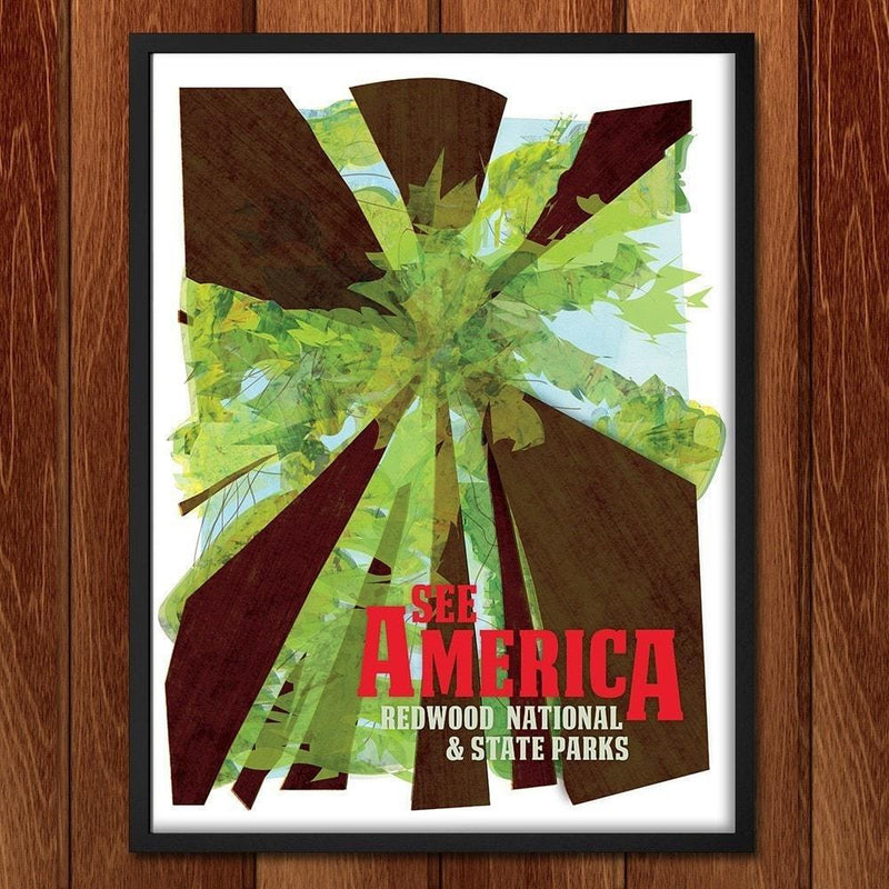 Redwood National and State Parks by Design by Goats Creative Action Ne ...